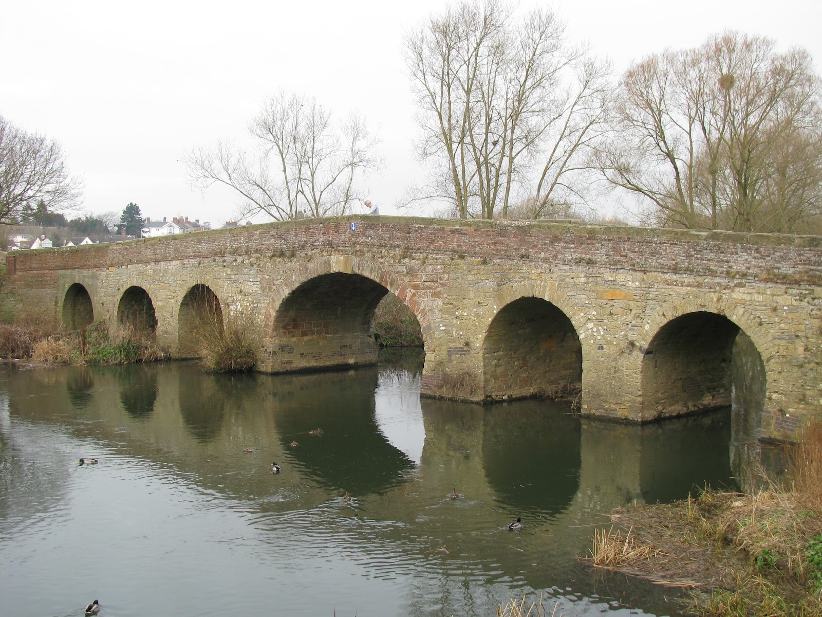 Stand and Stare....: The Pershore Bridges Walk